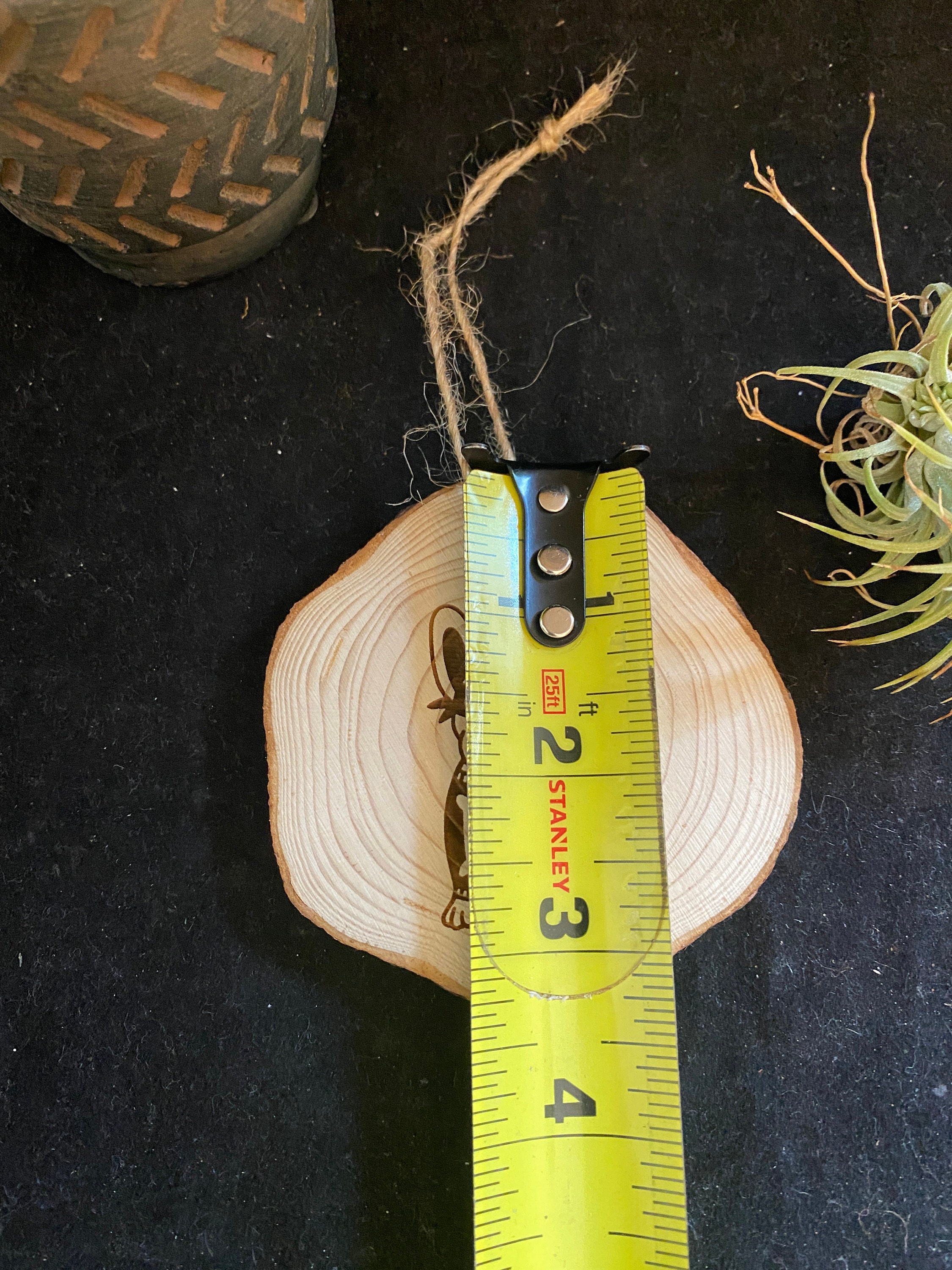 French Bulldog Skeleton Halloween Costume Laser Engraved - Etsy