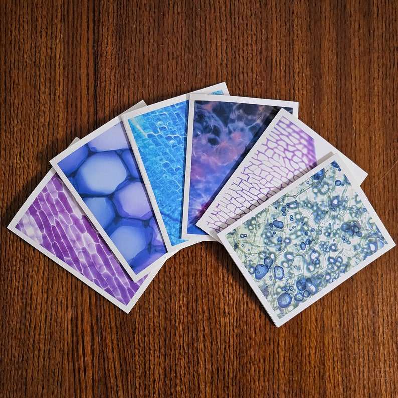 Set of Six Microscope Art Cards With Envelopes All Occasion Cards - Etsy