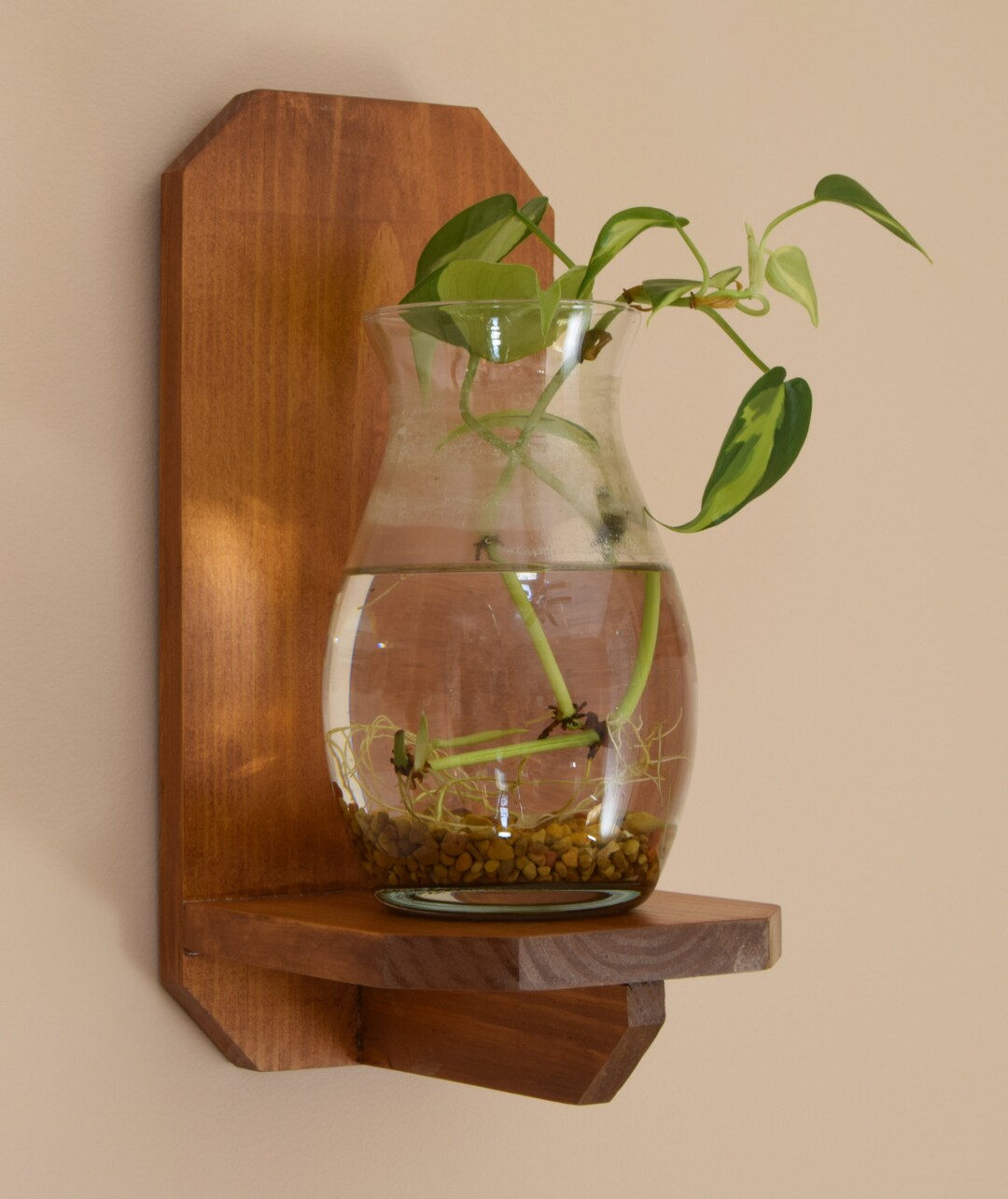 Plant Shelf | Small Hanging Wall Shelf | 12 Inch Tall Shelf | Set of 2 ...