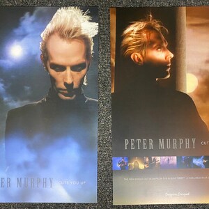 Peter Murphy Cuts You up 11x17 Poster Print - Etsy