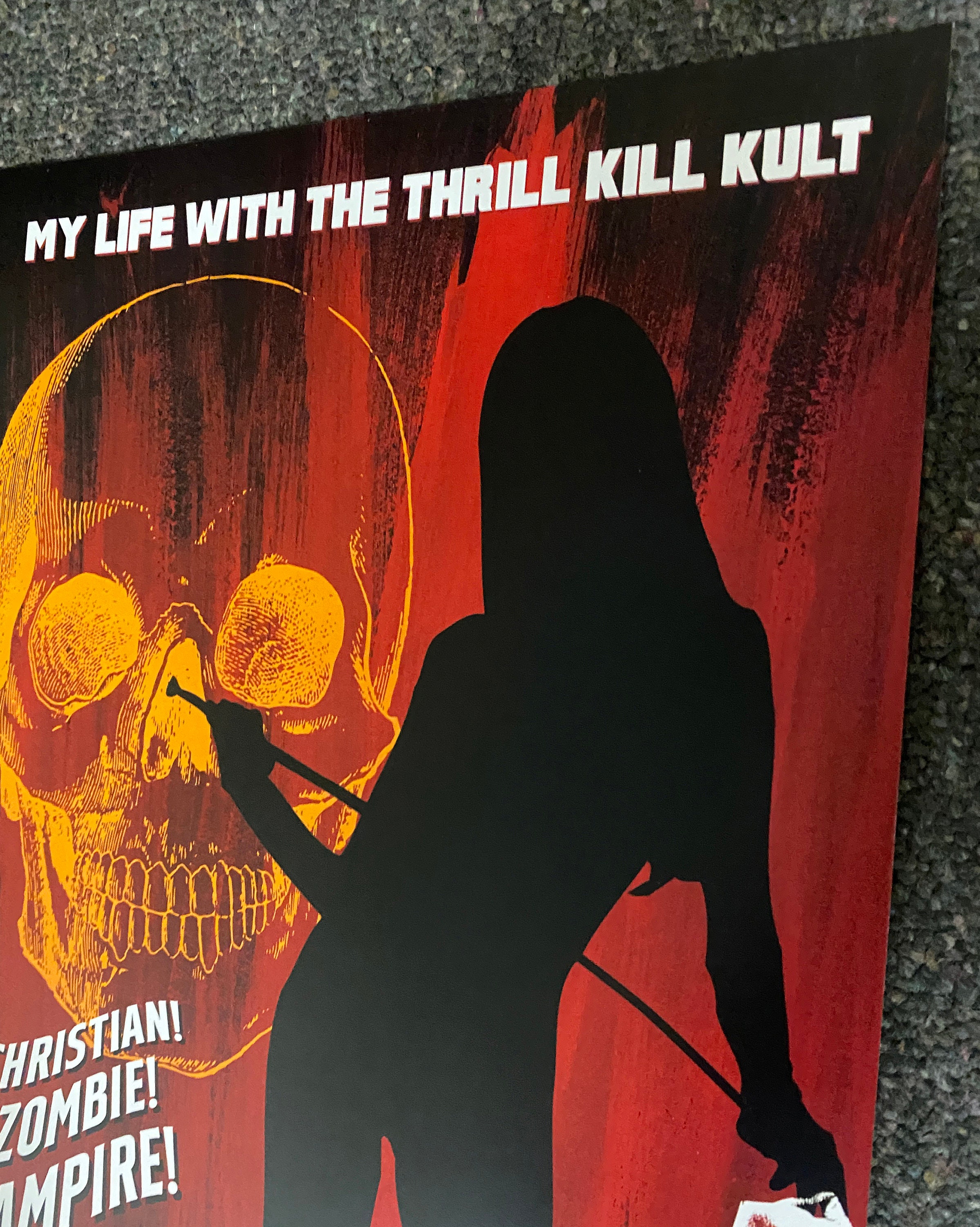 My Life With The Thrill Kill Kult-The Days of Swine and Roses Poster ...