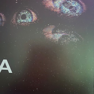 Tool - Ænima - 11x17 Poster Print - Etsy