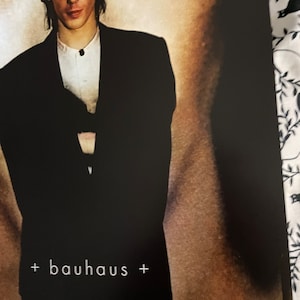 Bauhaus Peter Murphy 11x17 Poster Print - Etsy