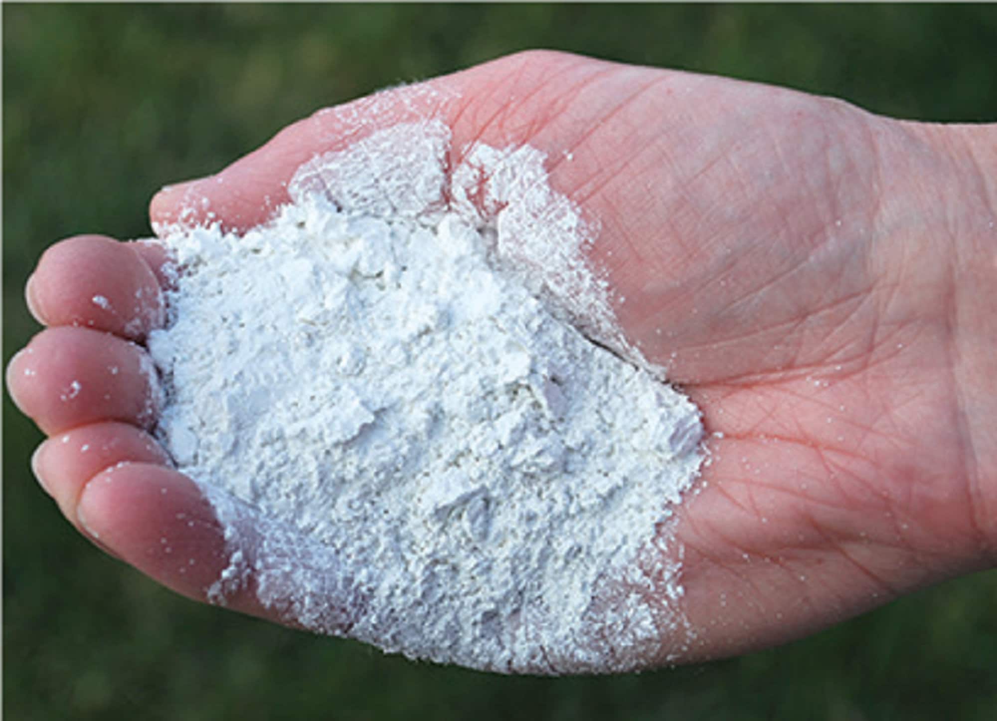 Quicklime Stone 500 G - 1.10 Lbs Cao Calcium Oxide Portugal Lime Pure ...