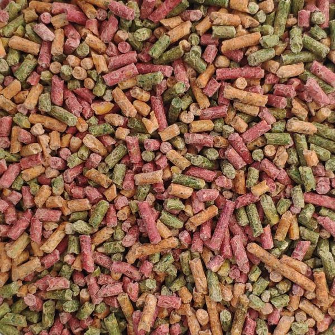 Granulated Food Mix Pellets 1 Kg for Wild Birds Blackbirds Thrushes ...