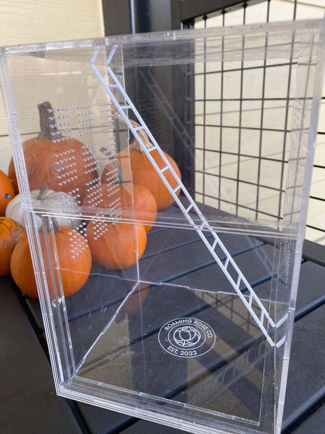 Flexible Spider Enclosure Ladder & Tension Bridge - Etsy