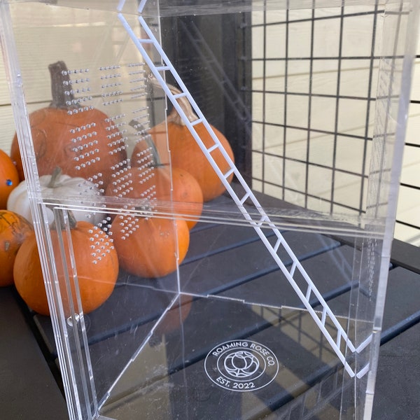 Spider Ladder - Etsy