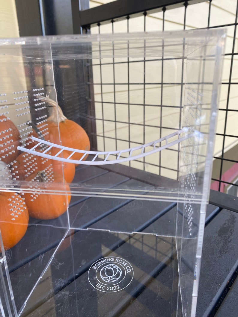 Flexible Spider Enclosure Ladder & Tension Bridge - Etsy