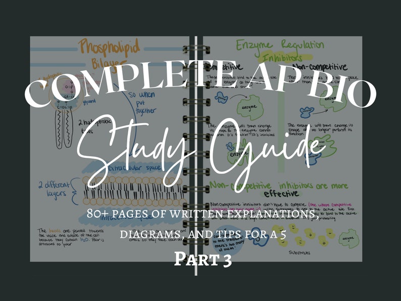 COMPLETE AP Biology Study Guide (part 3) - Etsy