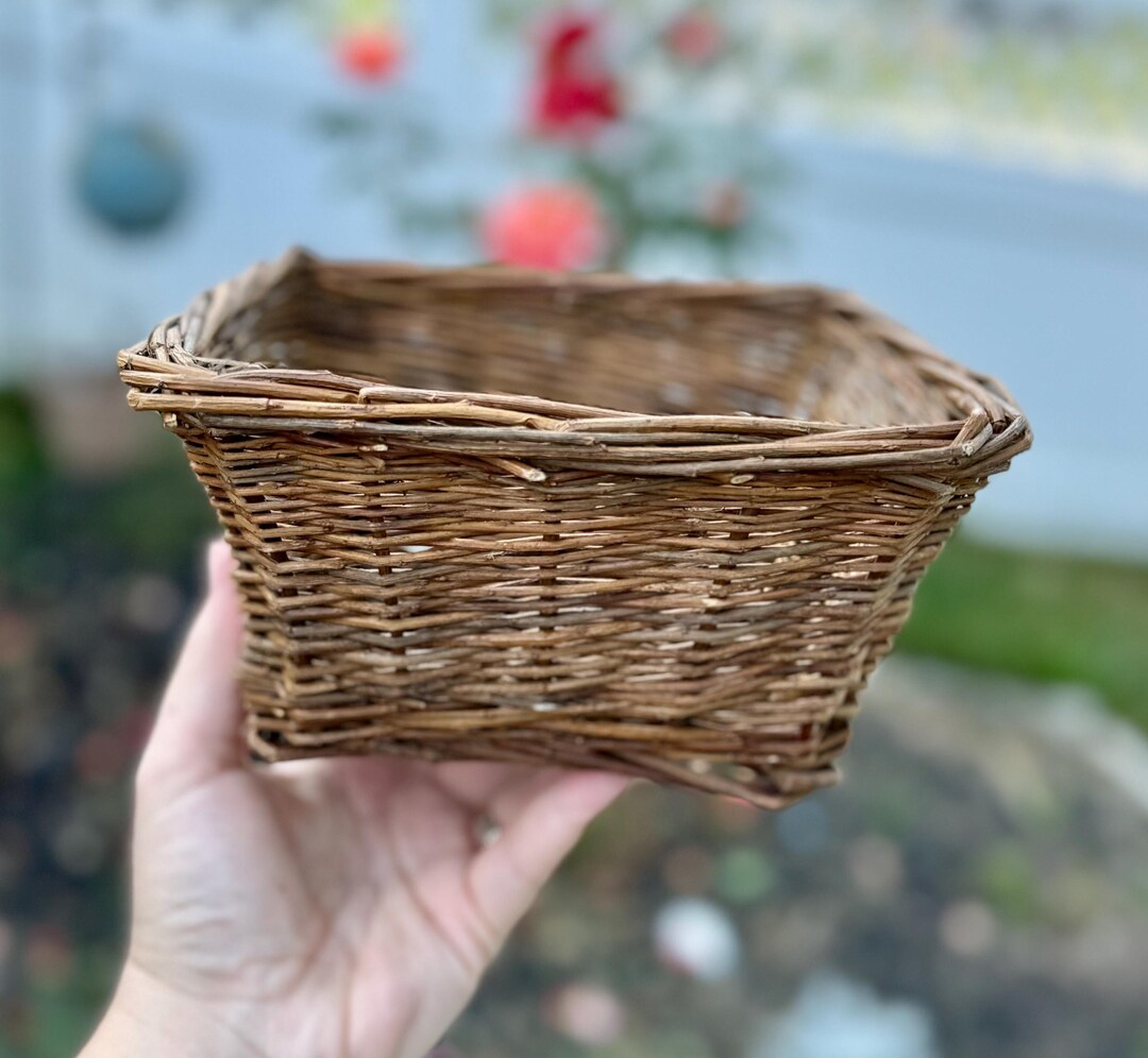Large Willow Basket Natural Chew Toys, Foraging Toy, Bunny Enrichment ...