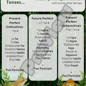 Spanish Conjugation Charts, Classroom Aid, Study Tool, Practice - Etsy