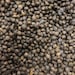 Rabbit Manure - Rabbit Poop Pellet Fertilizer - Etsy