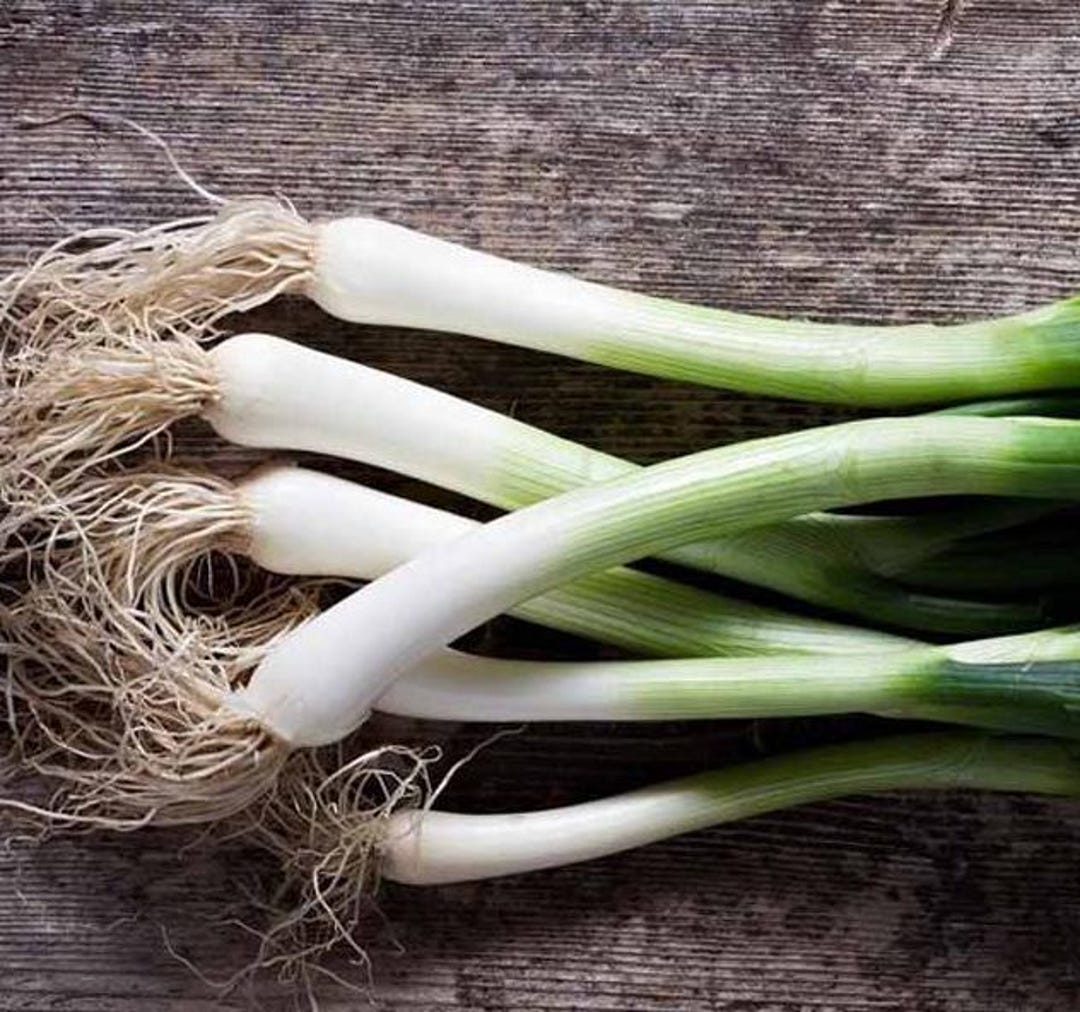 50 Count Bunching Onion - Green Scallions - Seeds - NON-GMO - Free ...