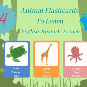 Animal Flashcards Multilingual | 24 Flashcards - Etsy