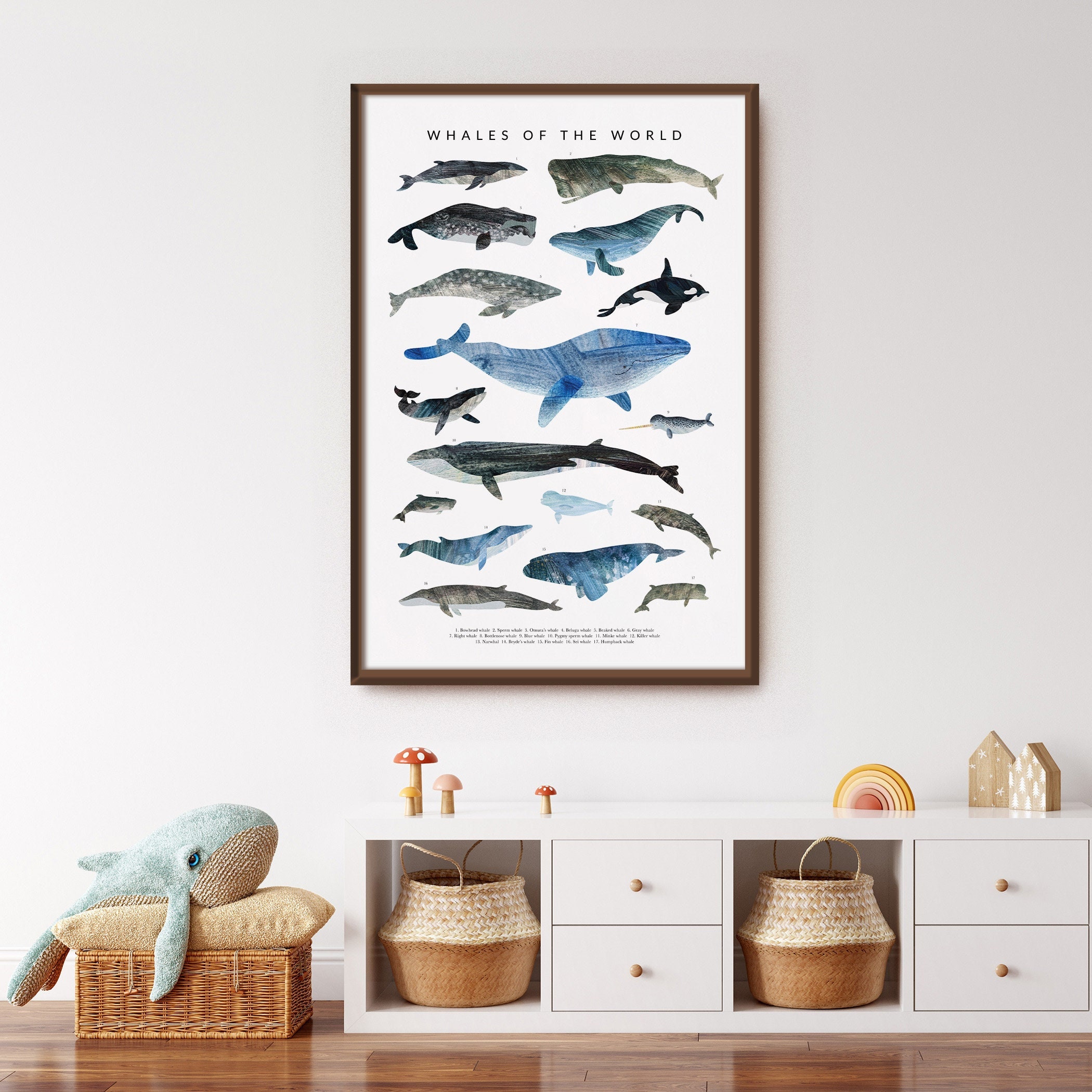 Whale Species Poster, Educational Art for Kids, Nautical Decor, Wall Decor for Kids, Scientific ...