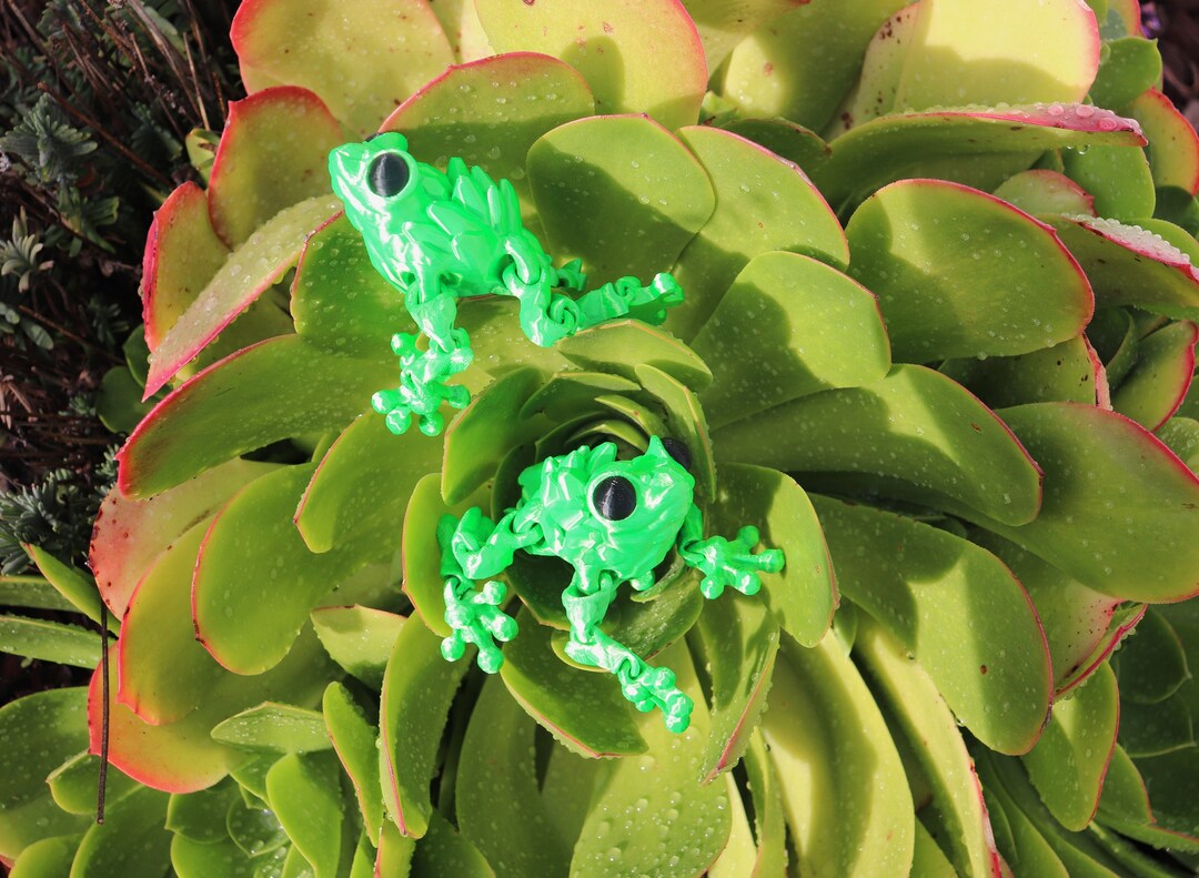 Crystal Gem Frog Toy 3 PACK 3D Printed Choose From Amazing - Etsy