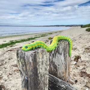 Hognose Snake Toy, Hand Made, Amazing Color Options, Articulated Fidget ...