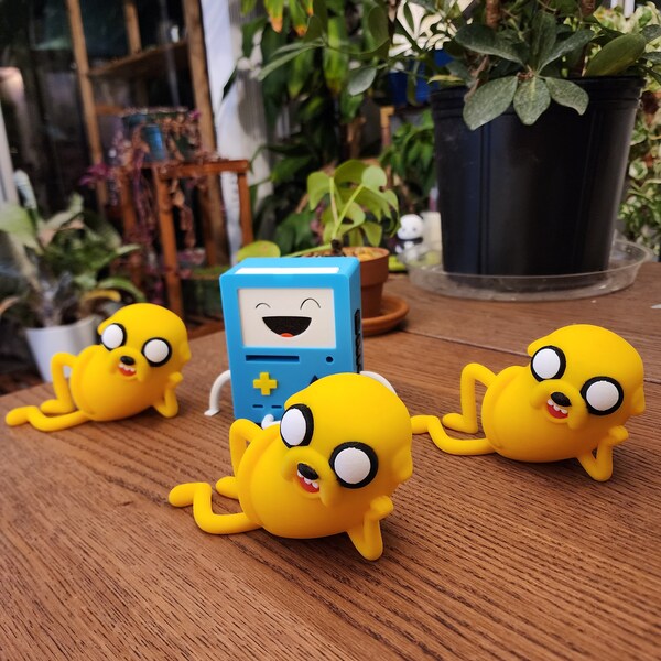 Adventure Time Dog - Etsy