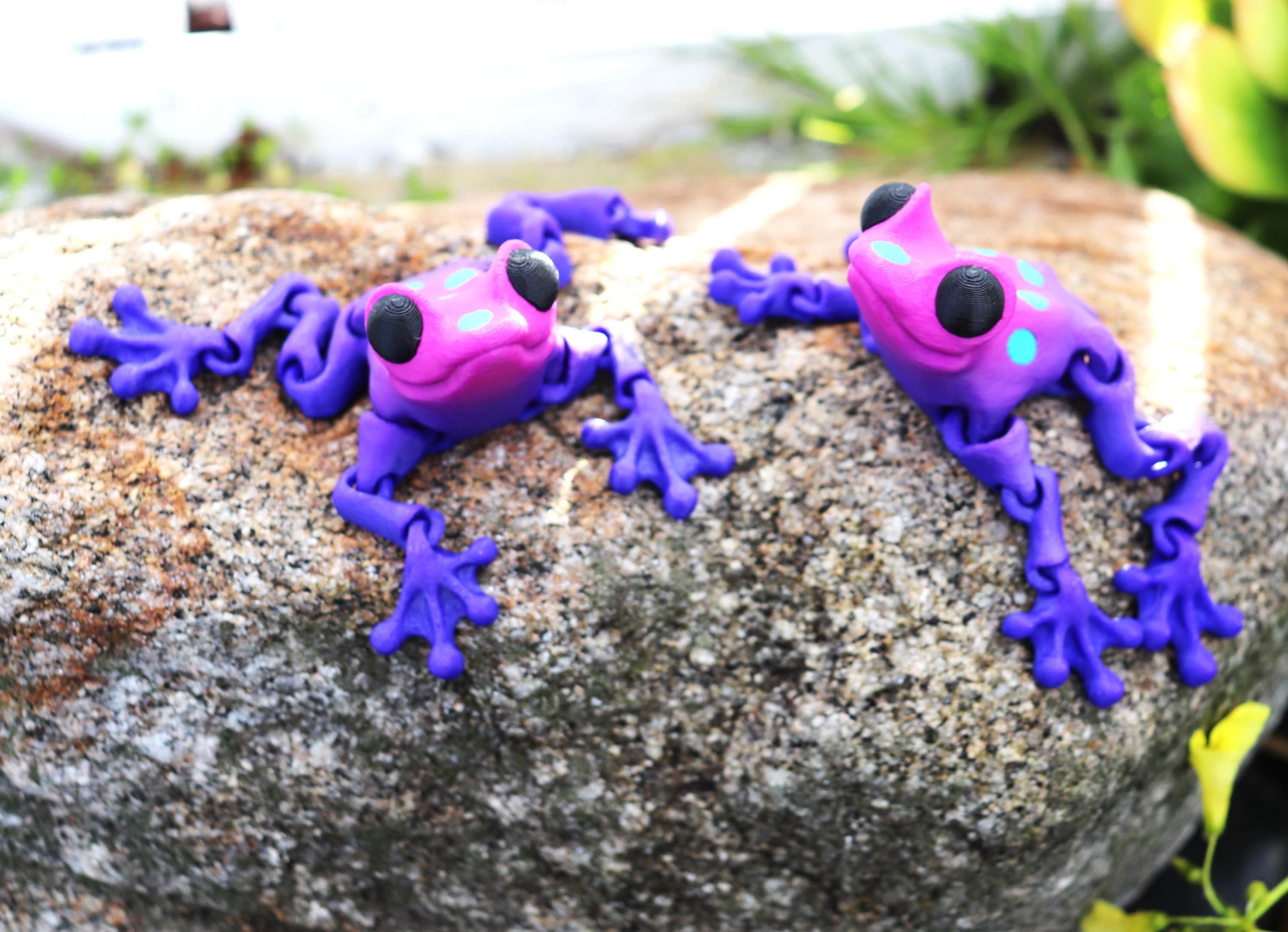 Purple Poisonous Frogs