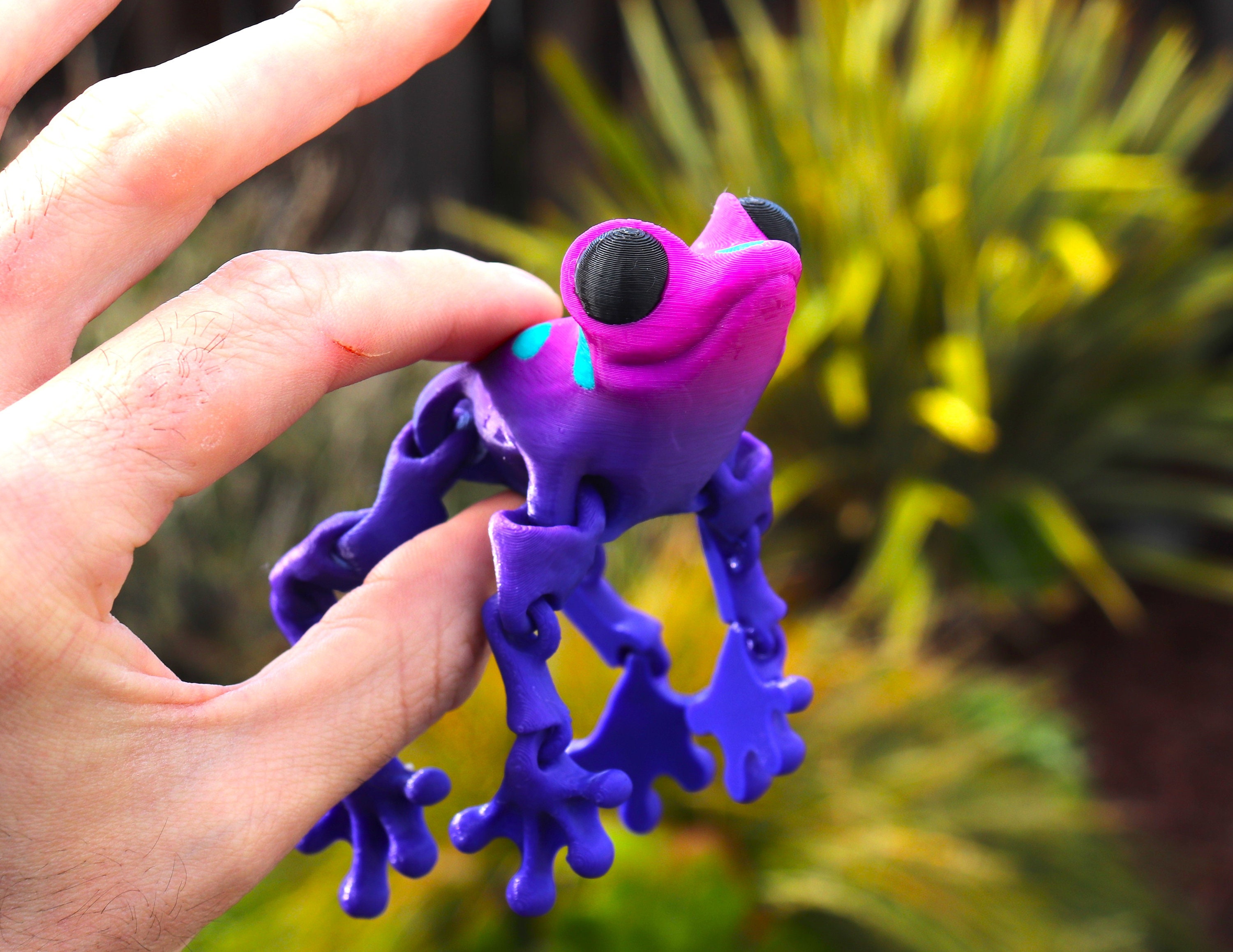 Purple Poison Arrow Frog