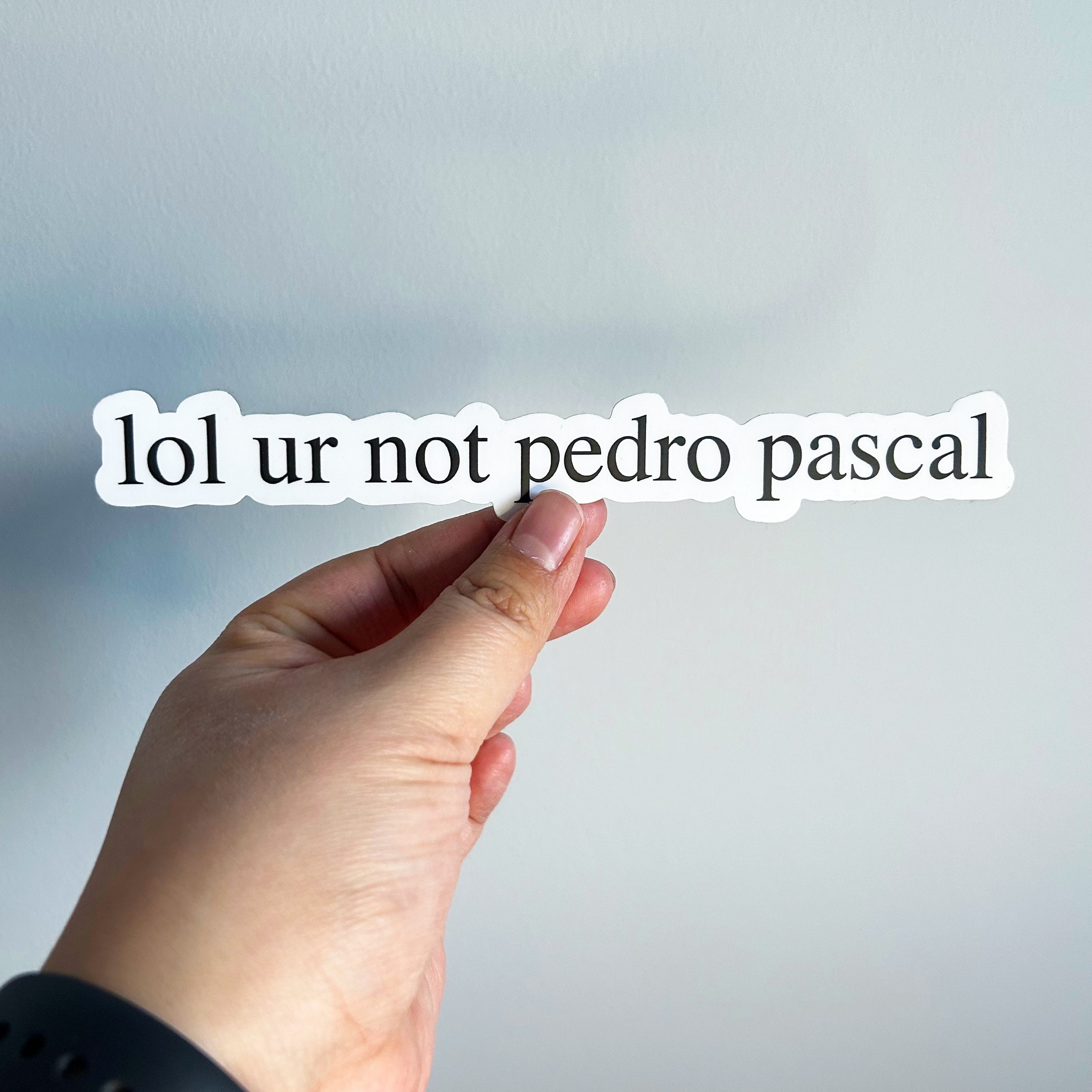 Pedro Pascal Sticker, Pedro Pascal Daddy, Pedro Pascal Merch, Pedro Sticker, Cool Slutty Daddy ...