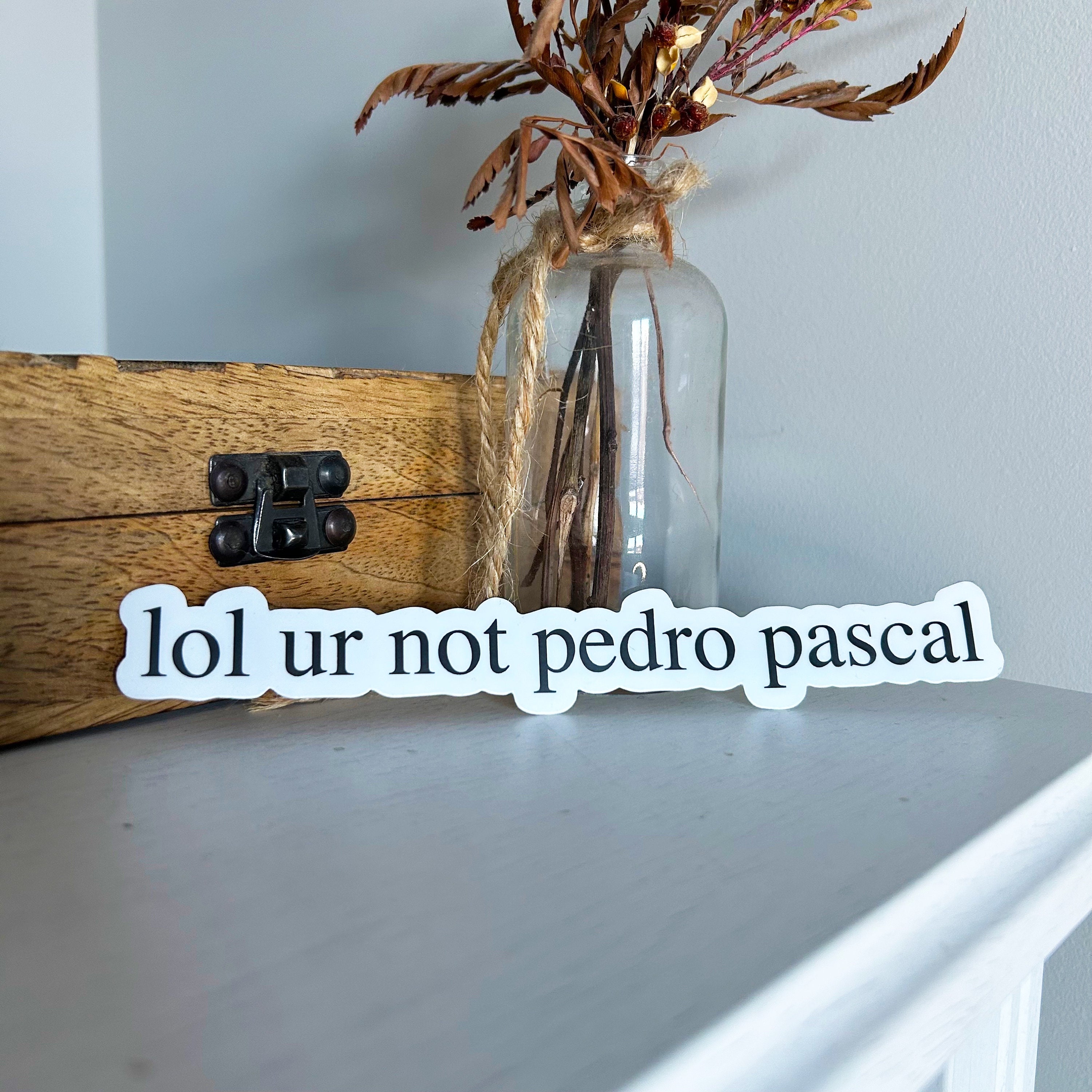 Pedro Pascal Sticker, Pedro Pascal Daddy, Pedro Pascal Merch, Pedro Sticker, Cool Slutty Daddy ...
