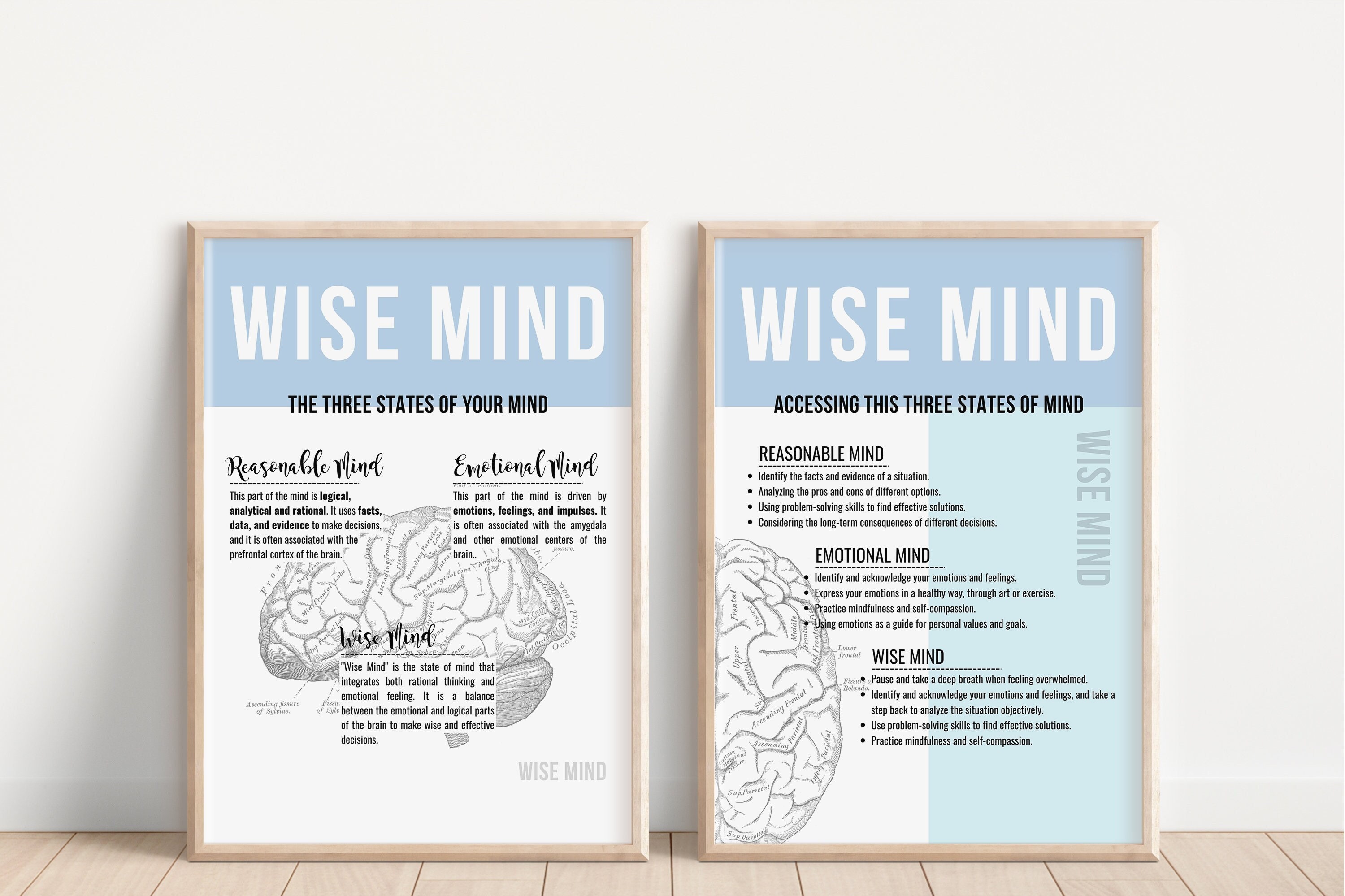 8 DBT Posters Art, Distress Tolerance DBT, Emotional Regulation Poster ...