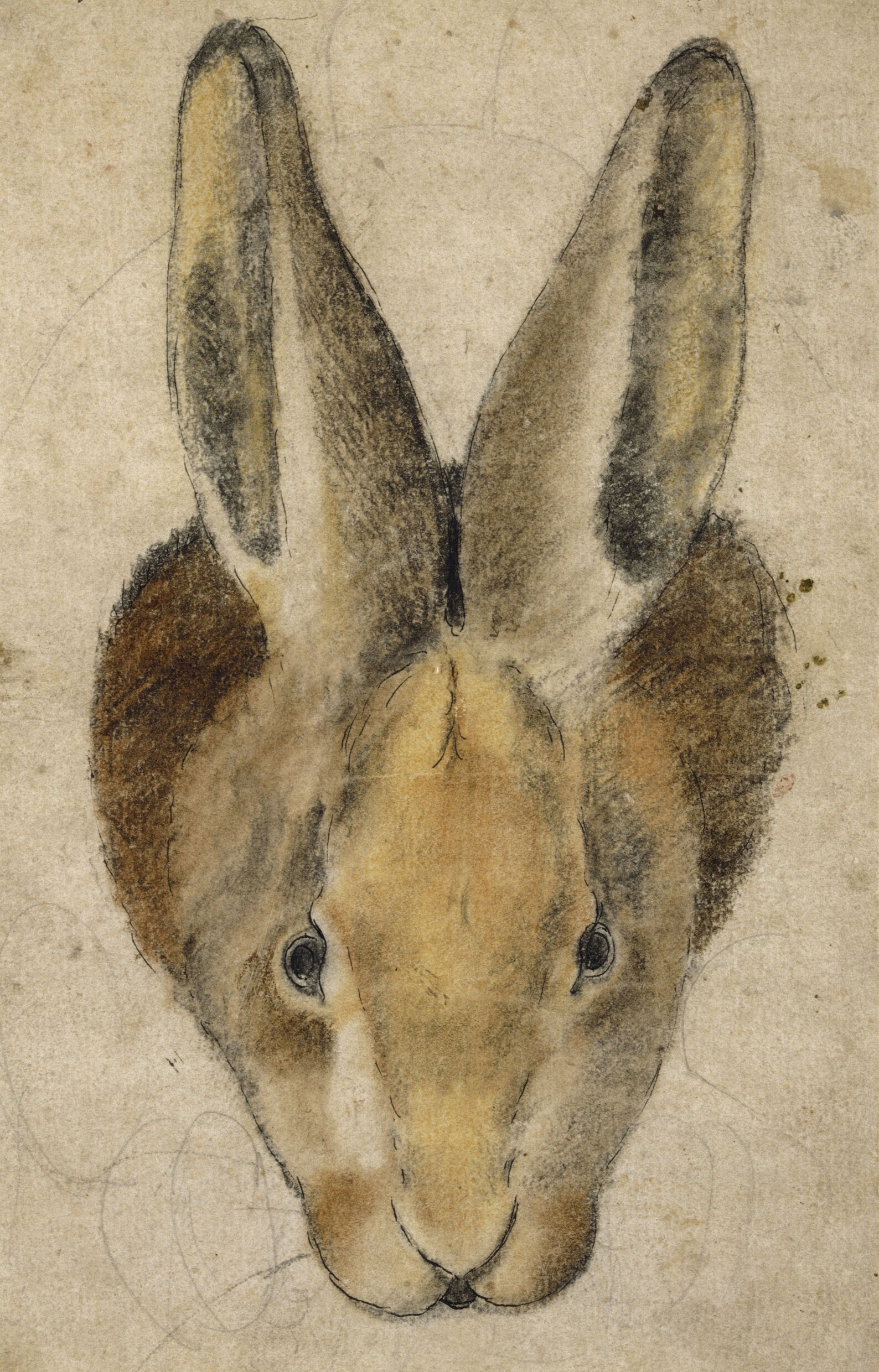 Vintage Painting Rabbit Hare Hase Von Vorn Hans Asper Swiss 1499 1571 ...