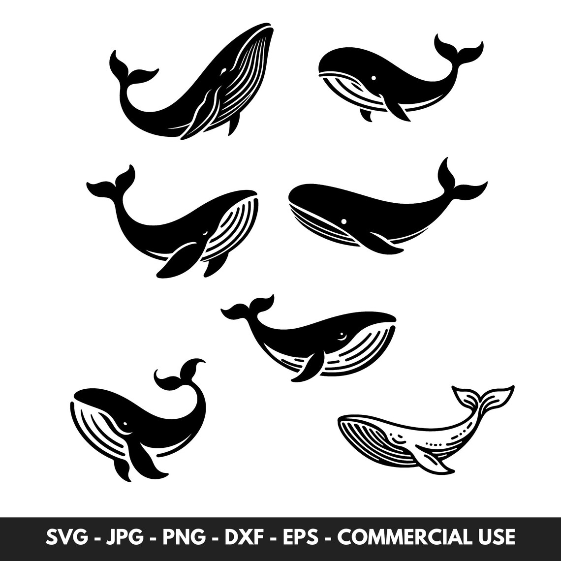 Whale SVG Vector Bundle With 7 Whale Silhouette Clipart PNG Cut File ...