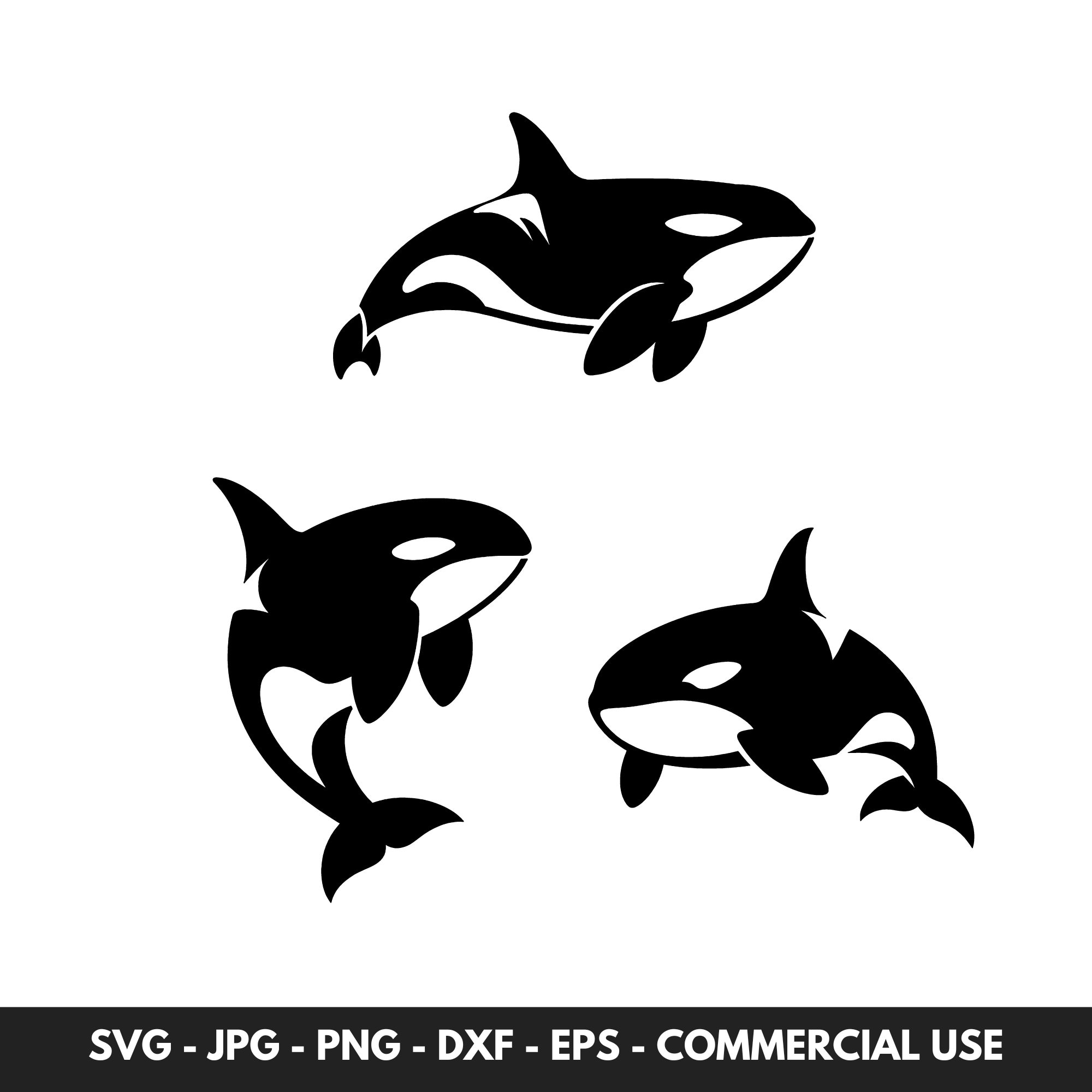 Orca Whale SVG Bundle, 3 Orca Vectors, Whale Silhouette, Marine PNG ...
