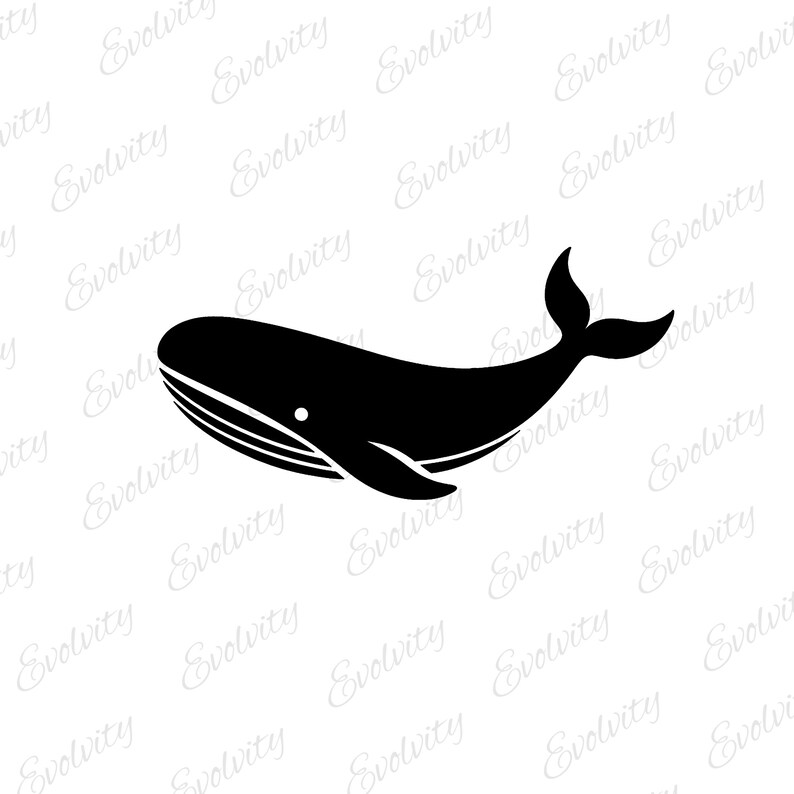 Whale SVG Vector Bundle With 7 Whale Silhouette Clipart PNG Cut File ...