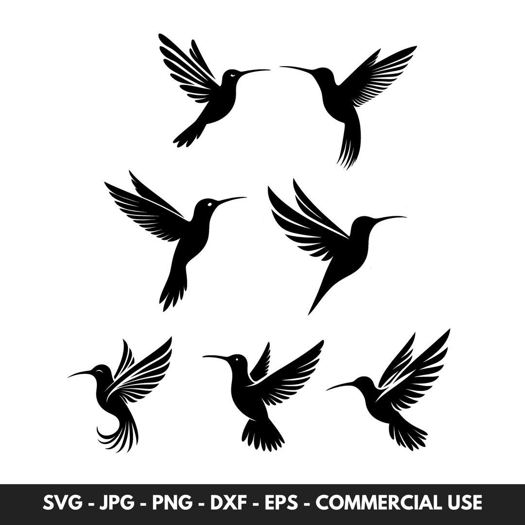 Hummingbird SVG Bundle, 7 Hummingbird Vectors, Bird Clip Art, Bird ...