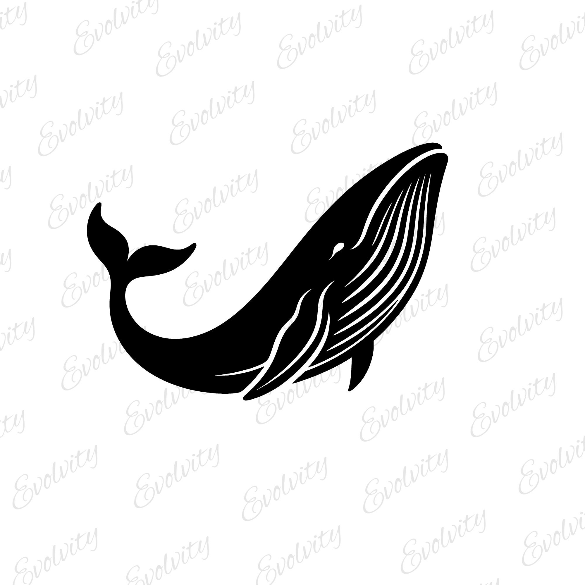 Whale SVG Bundle, 7 Whale Vectors, Whale Silhouette, Marine PNG, Whale ...