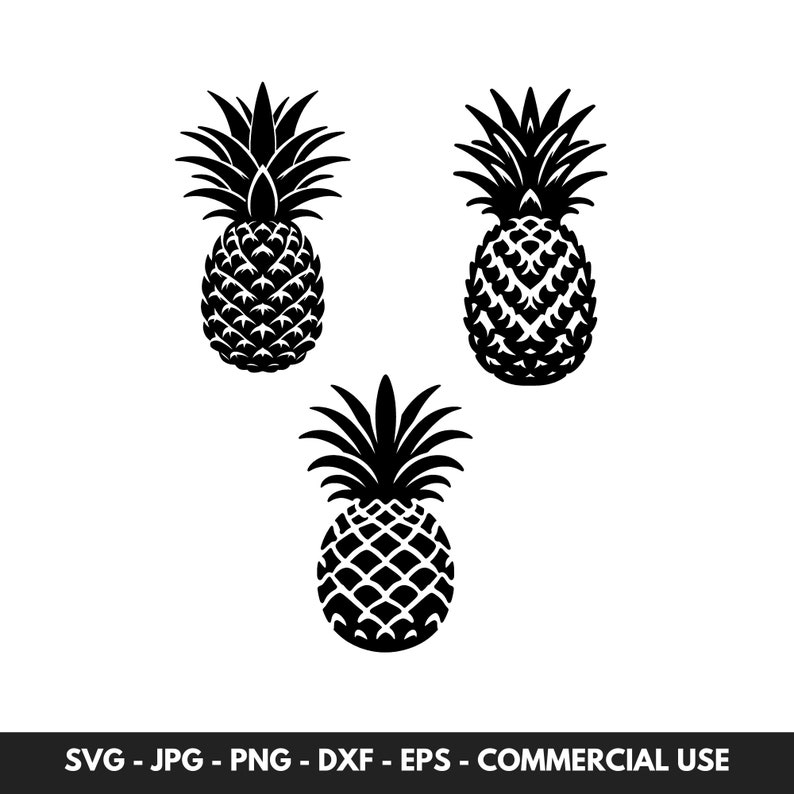 Pineapple SVG Bundle, 3 Pineapple Vectors, Pineapple Clipart, Pineapple ...