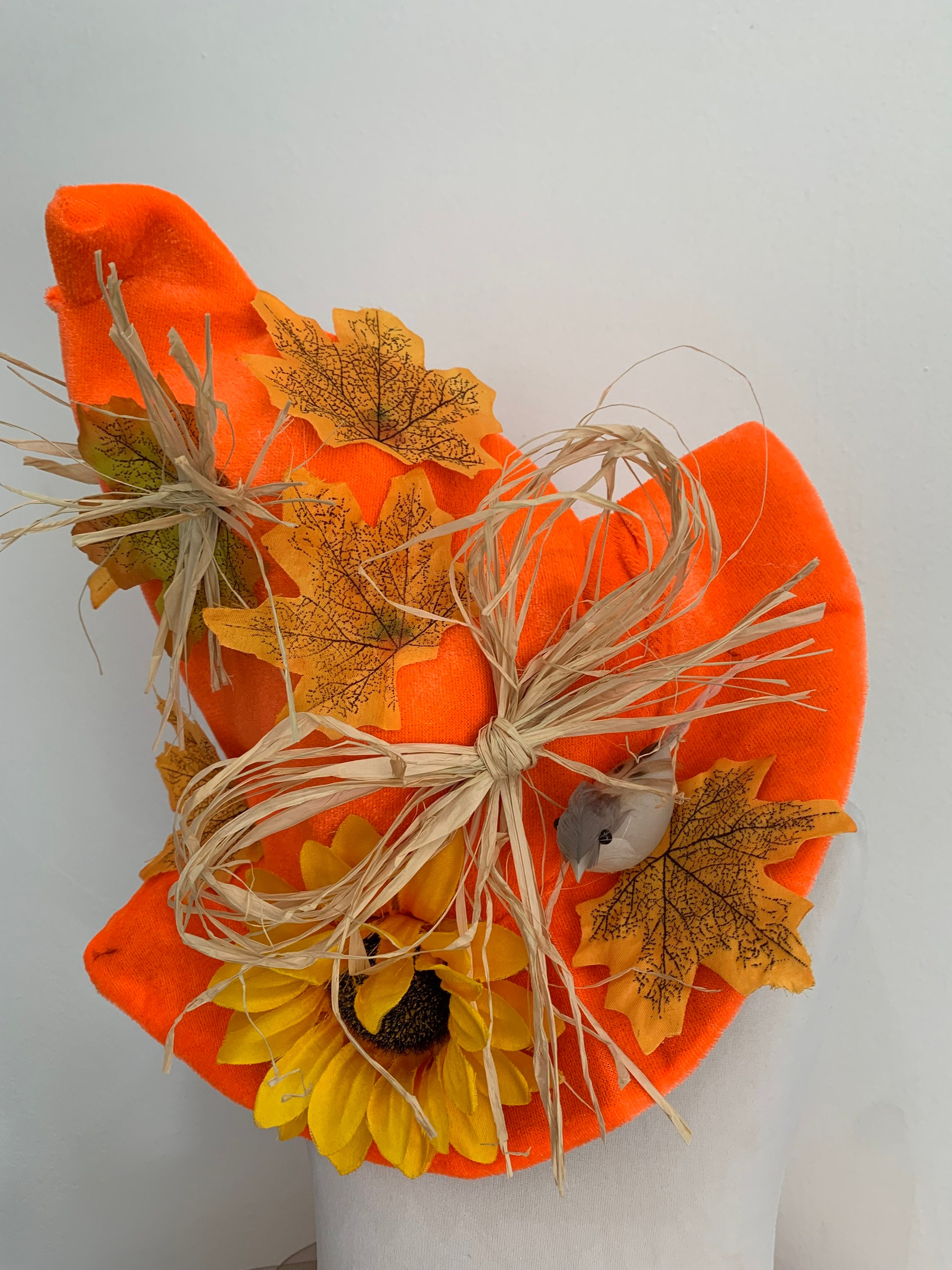 Épouvantail tutu tulle jupe chapeau déguisement orange marron automne ...