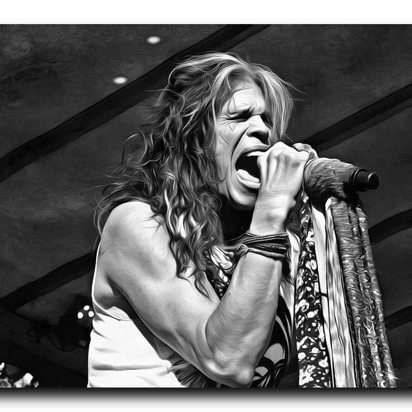 Steven Tyler Art - Etsy