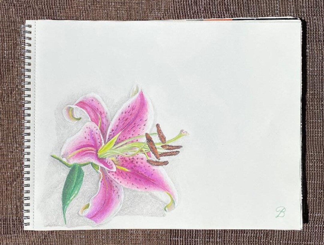 Stargazer Lily, Original Art - Etsy