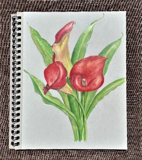 Cala Lily - Etsy