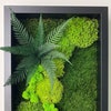Colorful Moss Picture, Wooden Frame, Moss Art, Home Decoration - Etsy