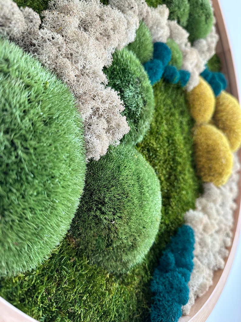 Colorful Moss Picture, Wooden Frame, Moss Art, Home Decoration - Etsy