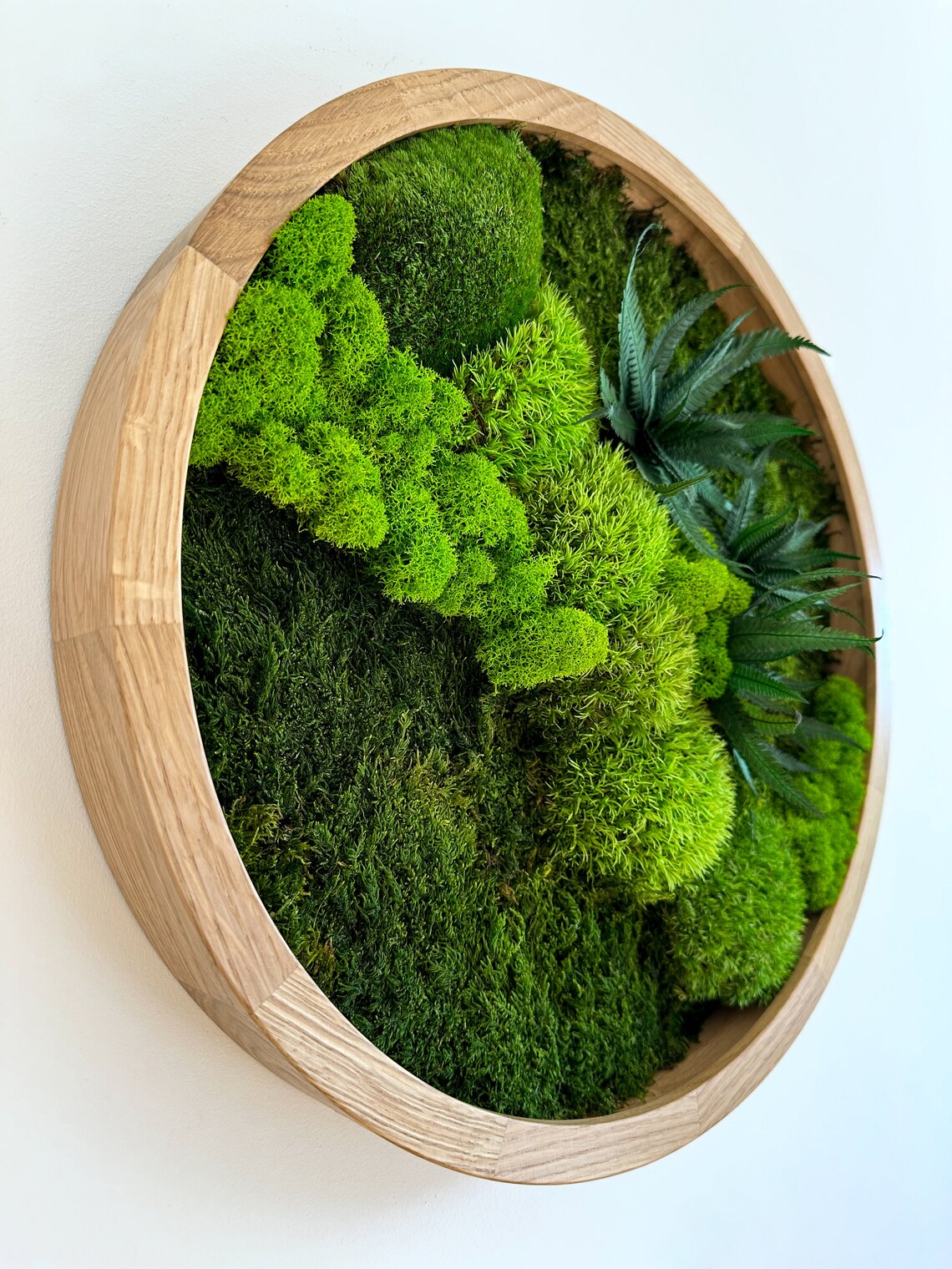 Wooden Frame Moss Picture, Moss Art, Home Decor - Etsy