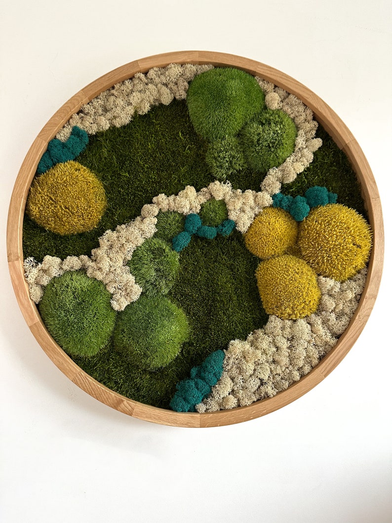 Colorful Moss Picture, Wooden Frame, Moss Art, Home Decoration - Etsy