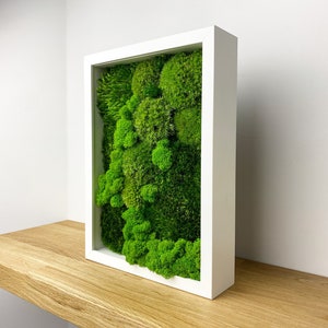 Moss Frame, Moss Art, Mosswall, Moss Picture, Home Decoration - Etsy