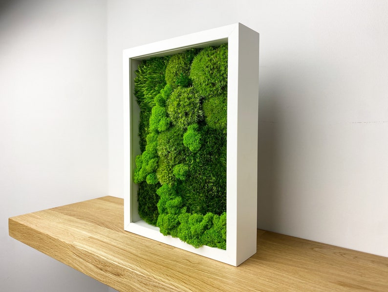 Moss Frame Moss Art Mosswall Moss Picture Home Decoration - Etsy