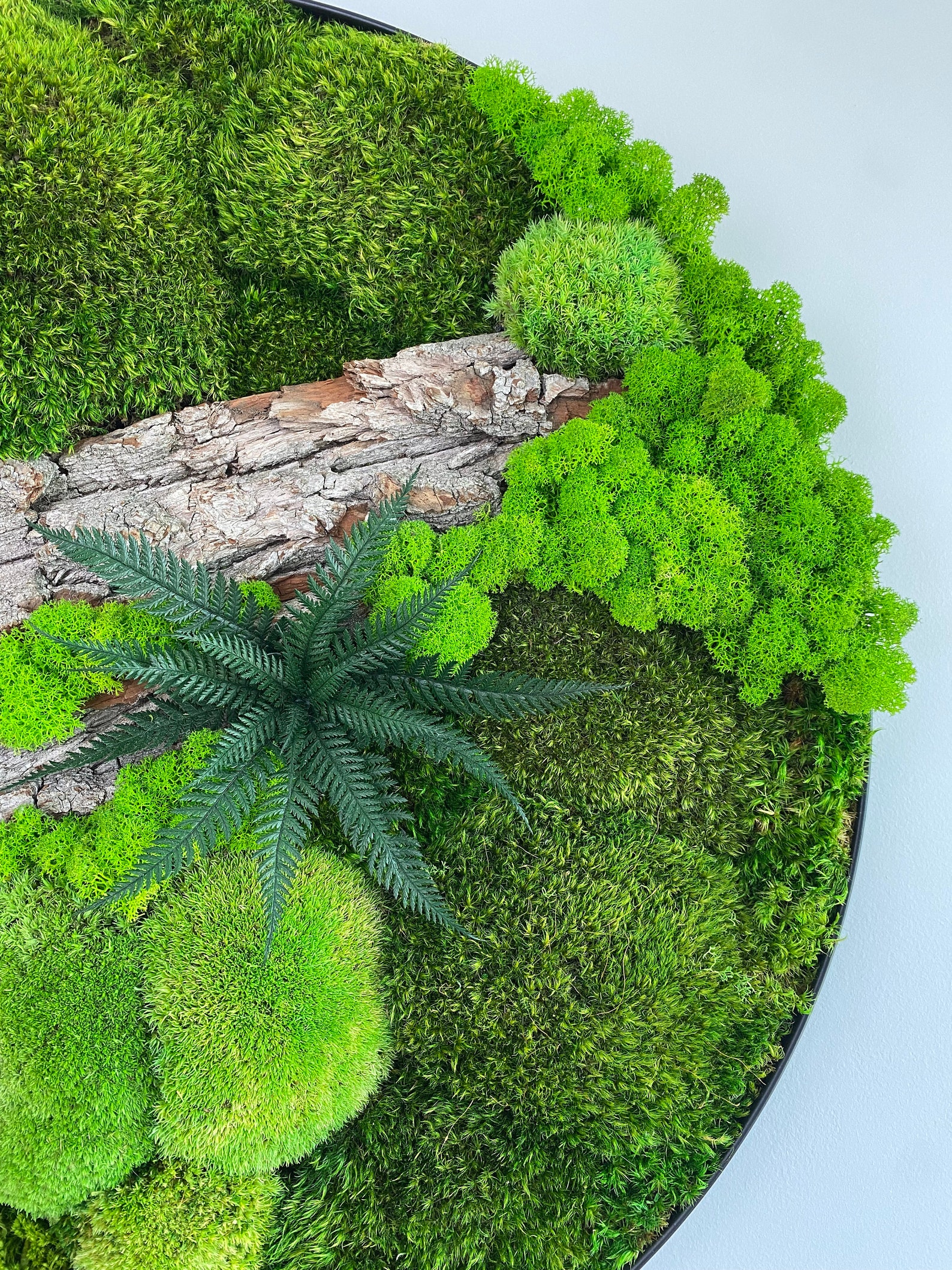 Moss Picture in Black Frame - Etsy