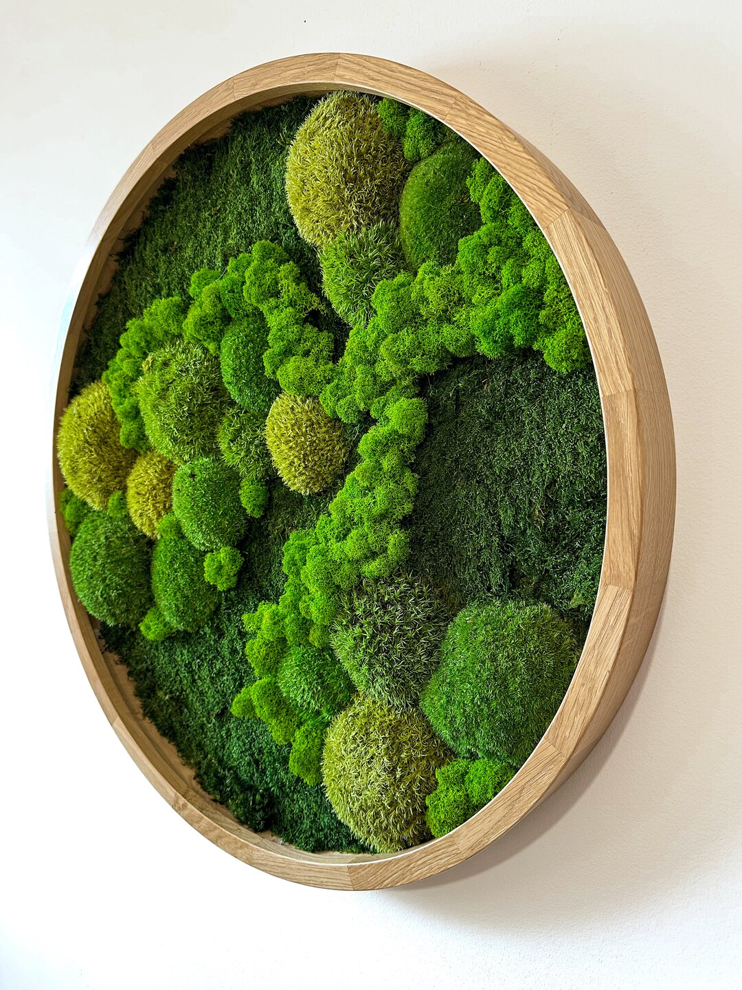 Wooden Frame Moss Picture, Moss Art, Home Decoration - Etsy