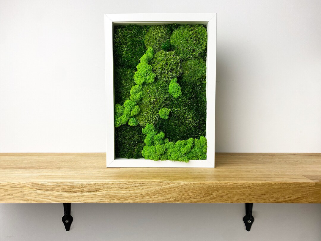 Moss Frame, Moss Art, Mosswall, Moss Picture, Home Decoration - Etsy