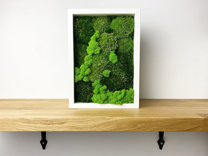 Moss Frame Moss Art Mosswall Moss Picture Home Decoration - Etsy