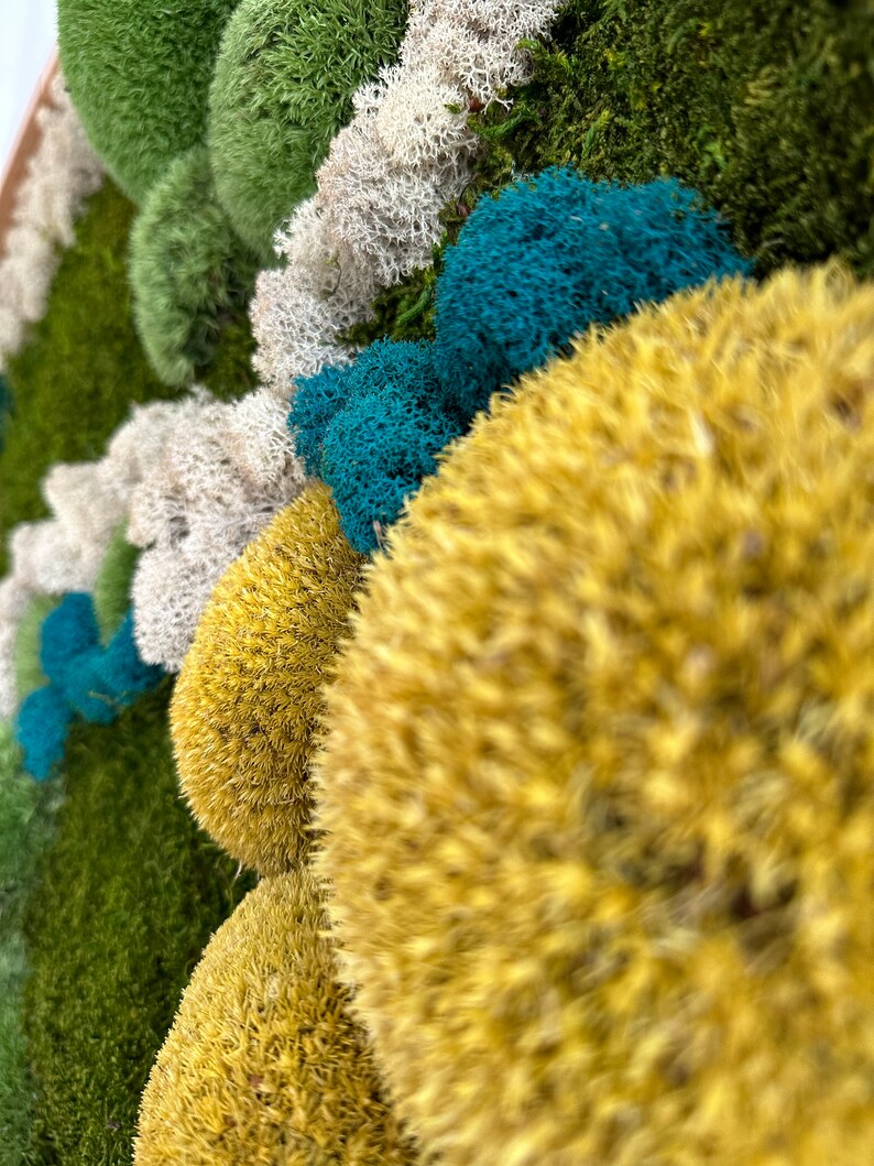 Colorful Moss Picture, Wooden Frame, Moss Art, Home Decoration - Etsy