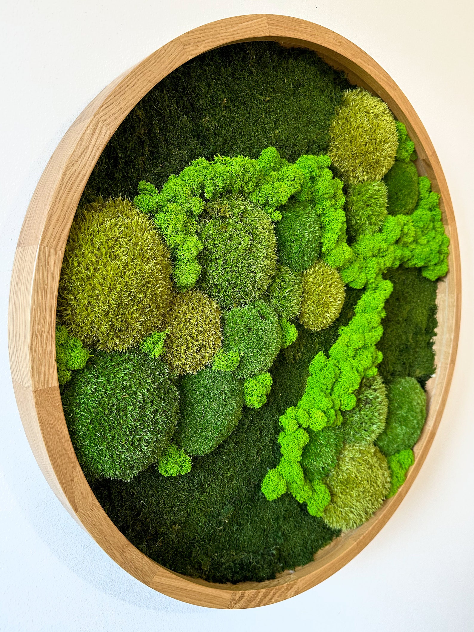 Wooden Frame Moss Picture, Moss Art, Home Decoration - Etsy